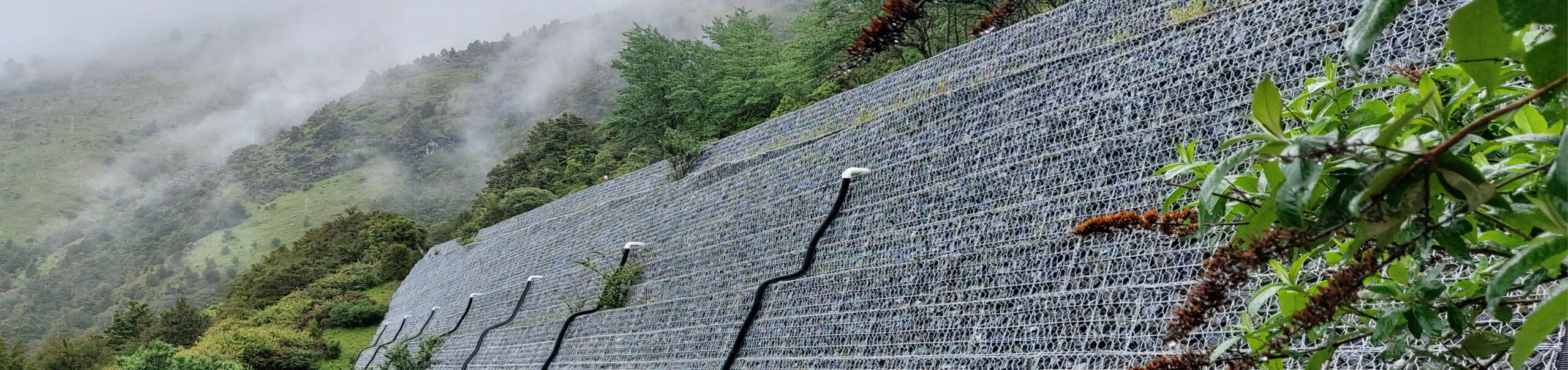 Reinforced Slopes & Walls - GeoTas